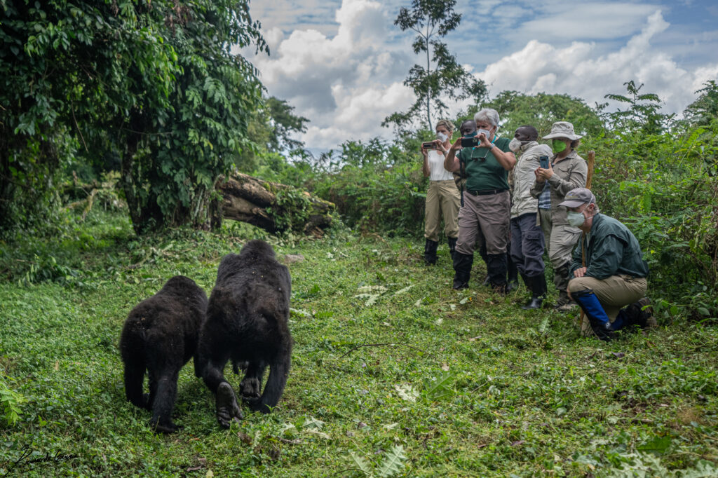 Experiences - ARC EARTH